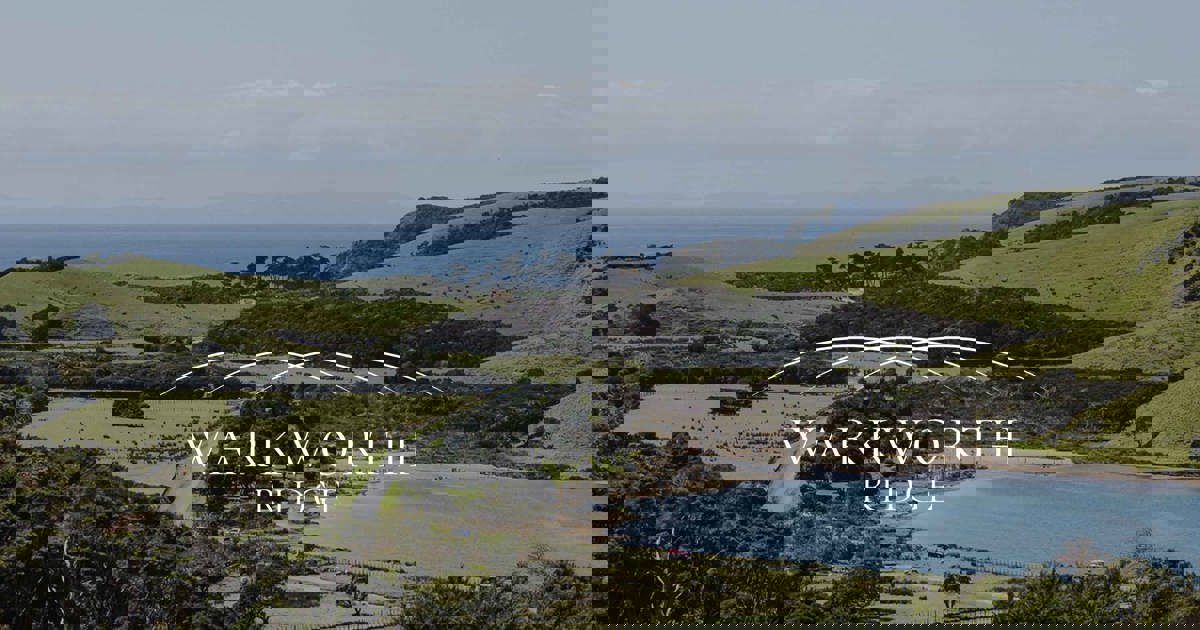 Warkworth Ridge | Developments | David Reid Homes NZ